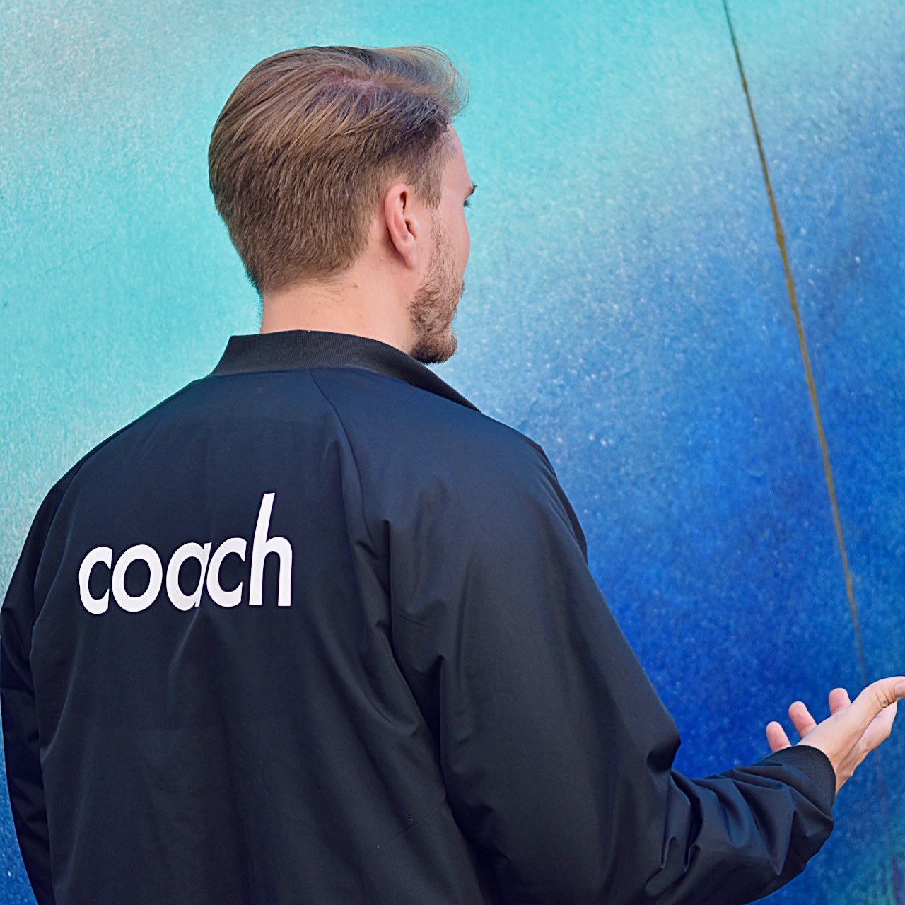 Systemisches Coaching - Grundlagen und Anwendungsbereiche